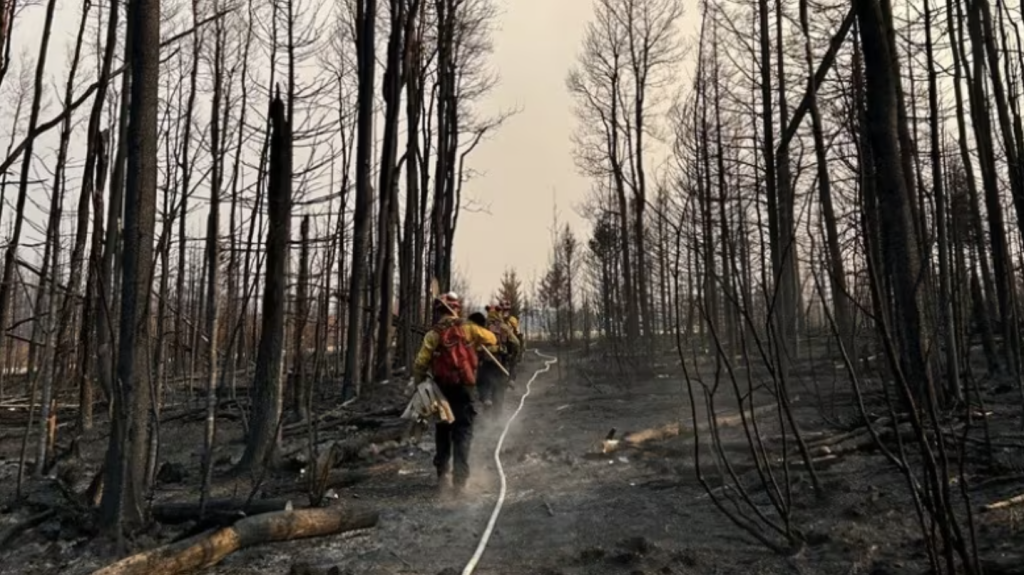 Alberta bracing for a long wildfire season fuelled by drought ...